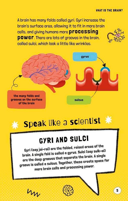 Your Intelligent Brain - BDL Books