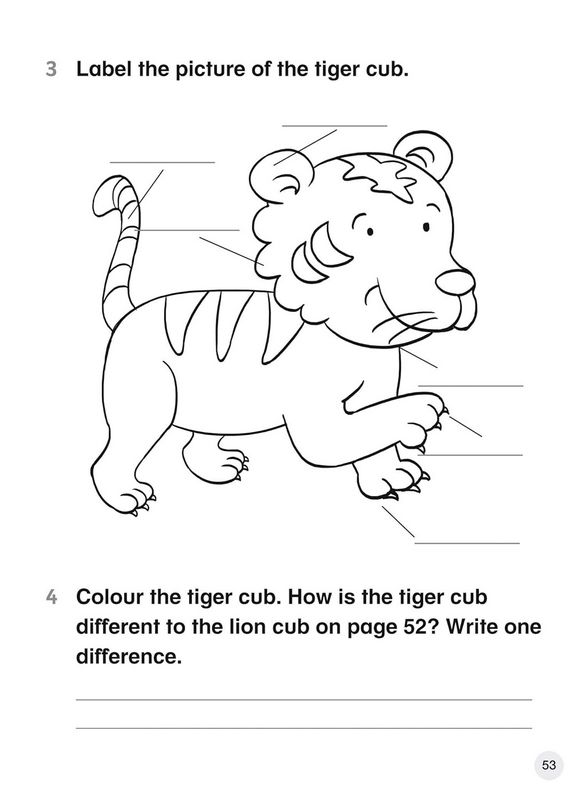 Collins Explore English Student’s Coursebook 1 – BDL Books