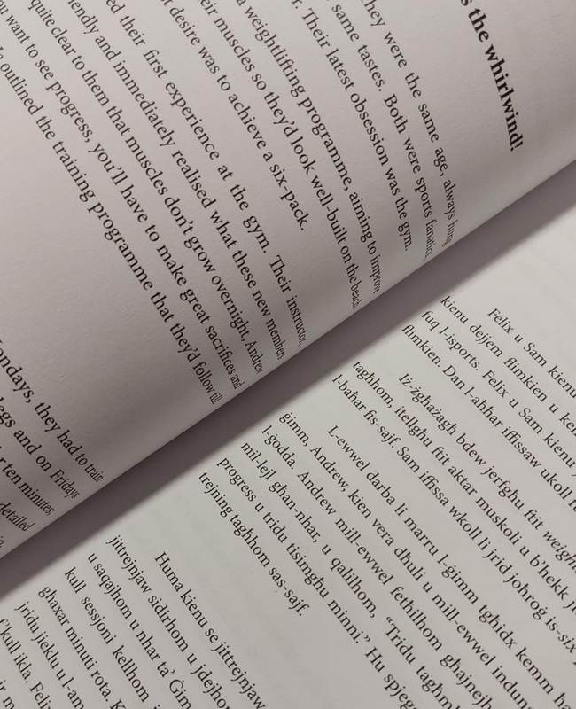 Introducing Learning Maltese – BDL Books