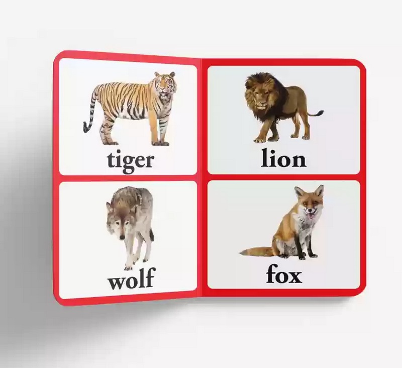 Wild Animals Board Book - BDL Books