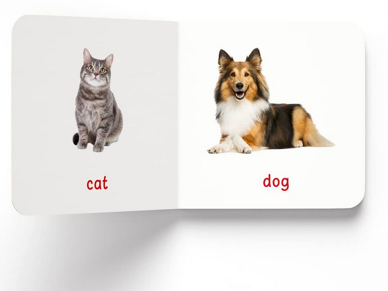 My First Book of Farm Animals and Pets - BDL Books