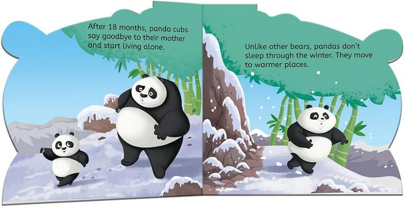 My First Shaped Board Book: Panda – BDL Books