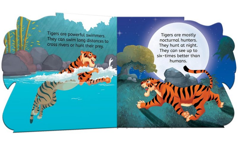 My First Shaped Board Book: Tiger - BDL Books