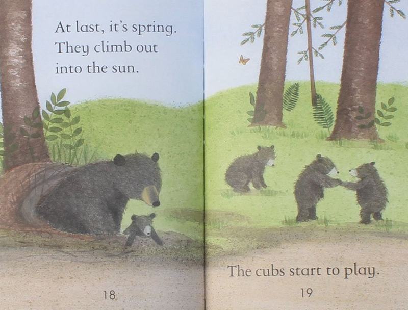 Bear: Usborne First Reading - BDL Books