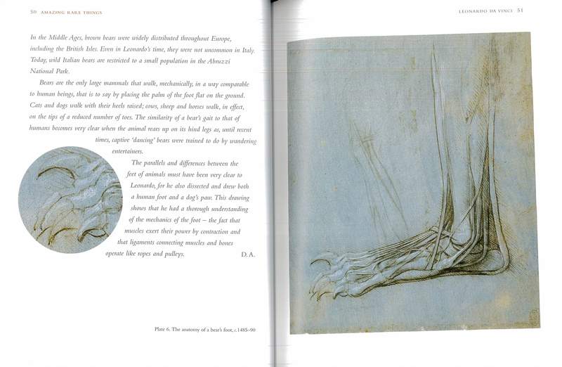 Amazing Rare Things - BDL Books