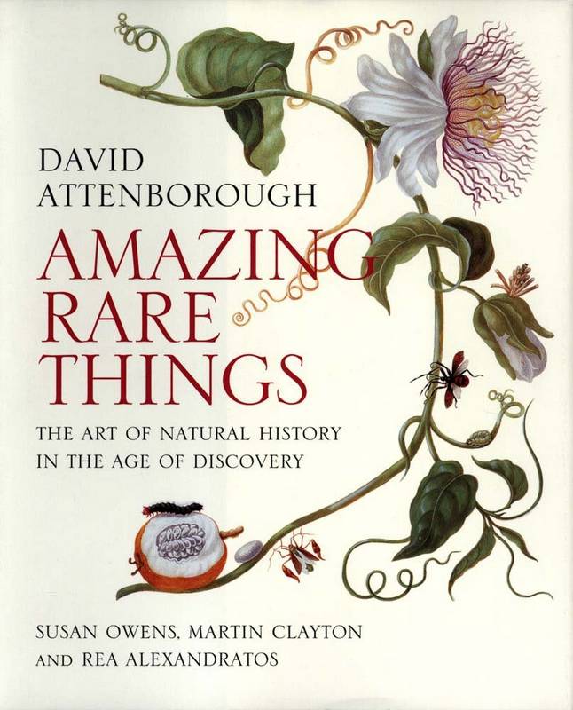 Amazing Rare Things - BDL Books