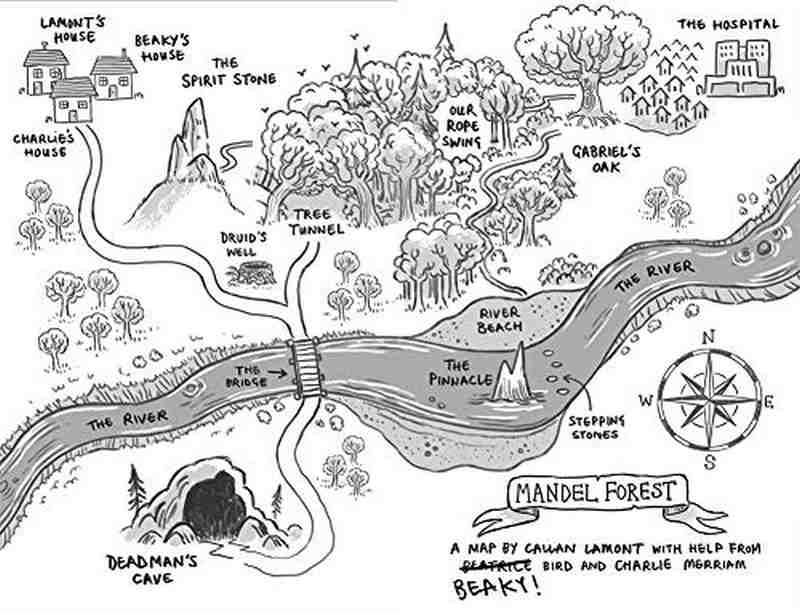 The Wild Way Home - BDL Books