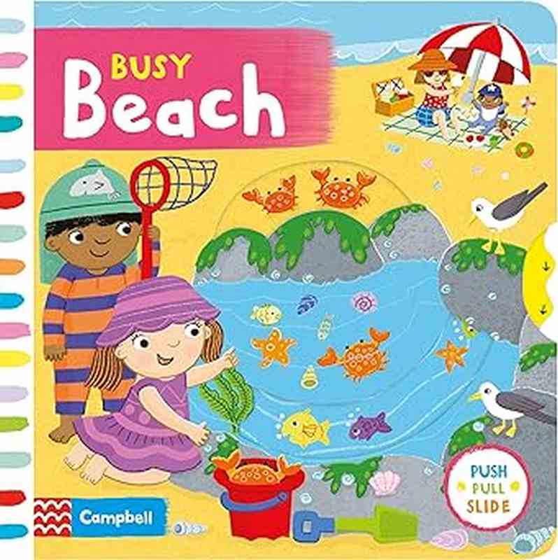 Busy Beach - BDL Books