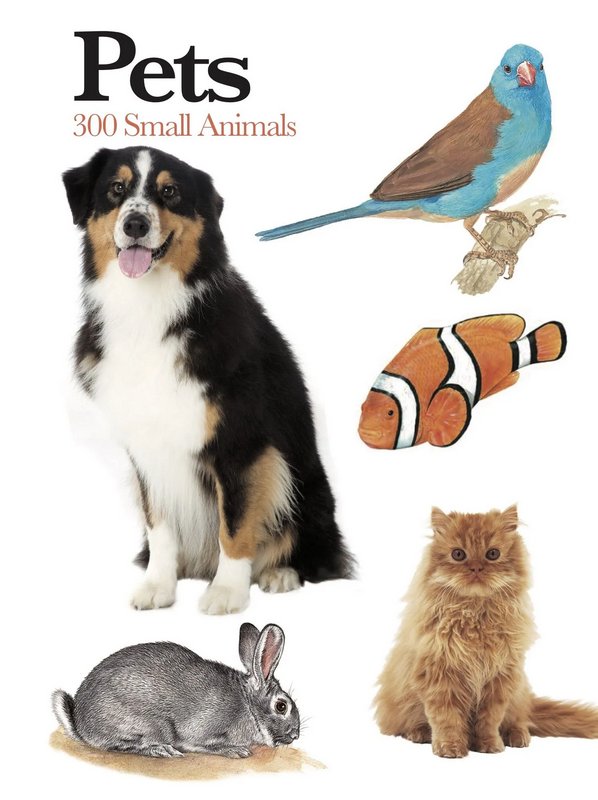 Pets - BDL Books