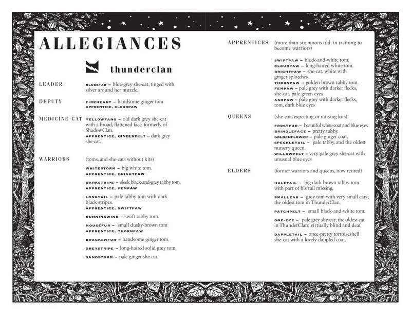 Warriors: Rising Storm - BDL Books