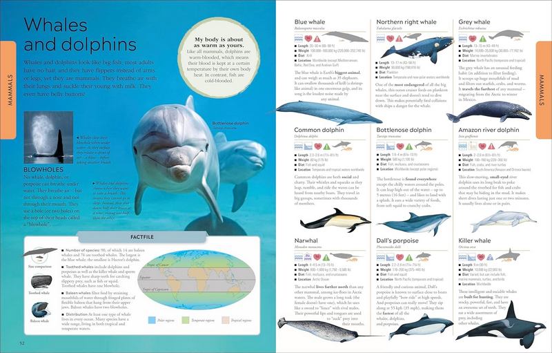 Animals: A Children's Encyclopedia - BDL Books