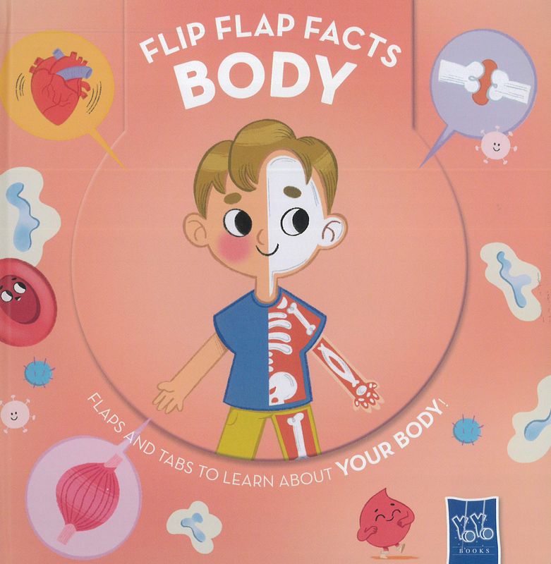 Flip Flap Facts: Body - BDL Books