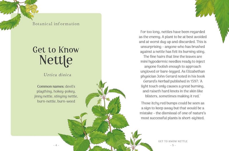 The Little Wild Library: Nettle - BDL Books