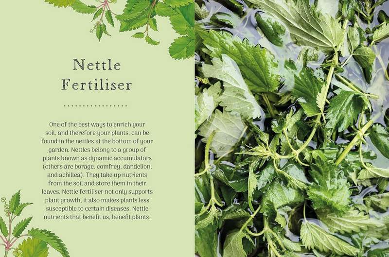 The Little Wild Library: Nettle - BDL Books