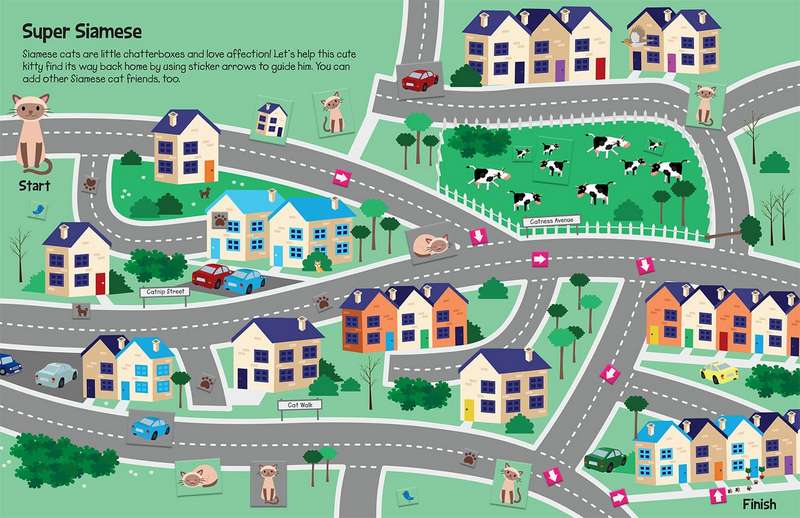 555 Sticker Fun - Cats & Dogs - BDL Books