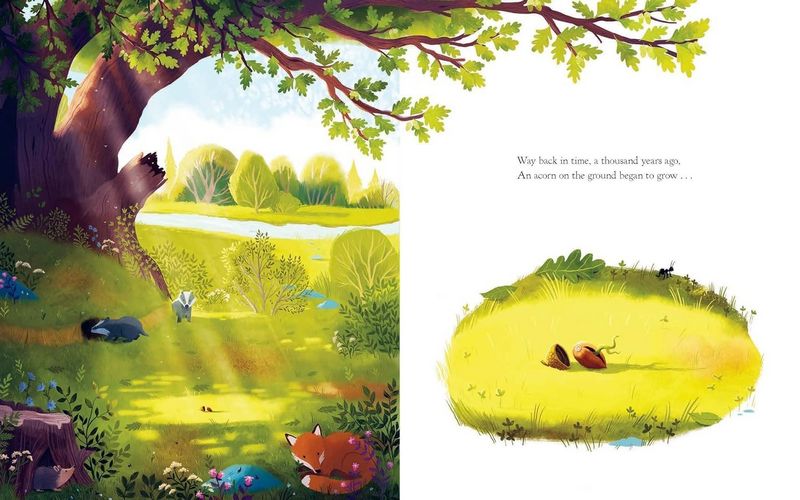 The Oak Tree - BDL Books